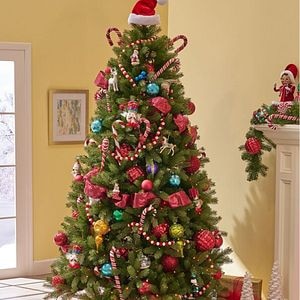 Brazi Craciun Brad natural | Totul pentru casa si gradina | Brico Depot