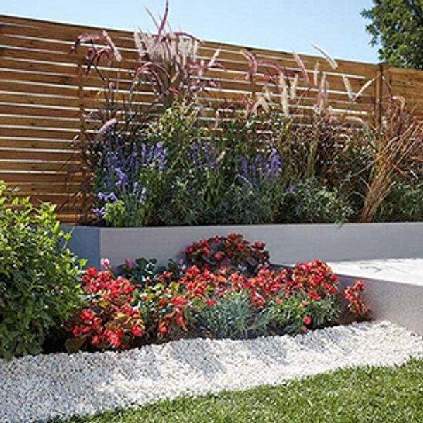 Plante Brad natural | Totul pentru casa si gradina | Brico Depot
