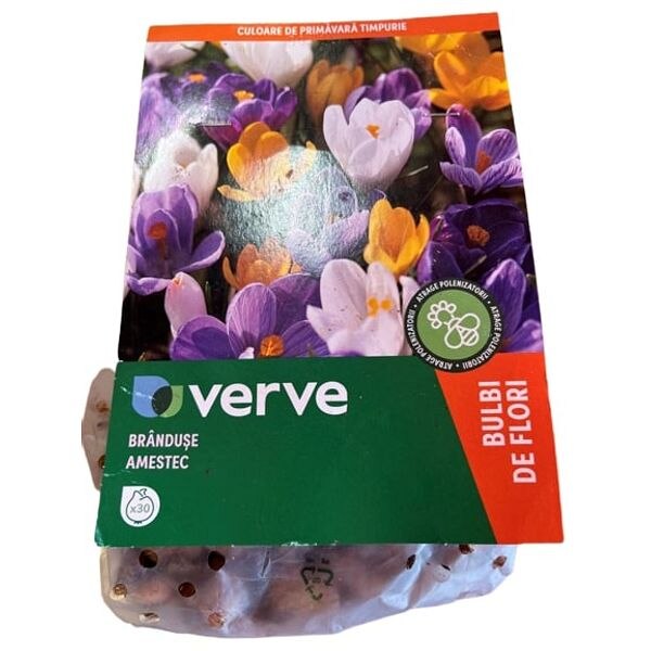Bulbi VERVE Crocus Mix, multicolor