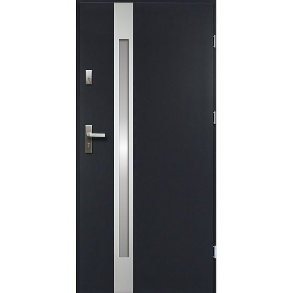 Usa exterior, antracit negru, 90 cm, stanga Temidas