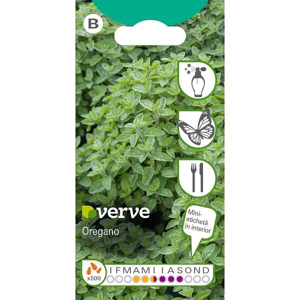 Seminte de oregano