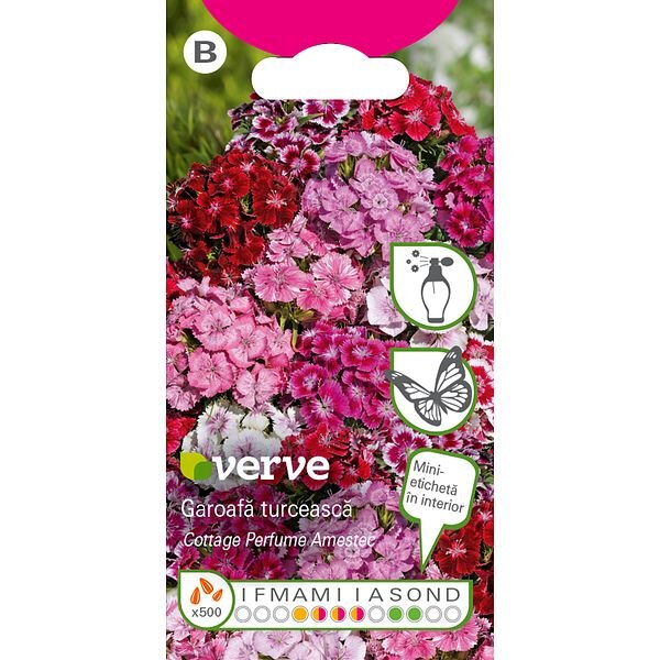 Amestec seminţe de garoafă turcească