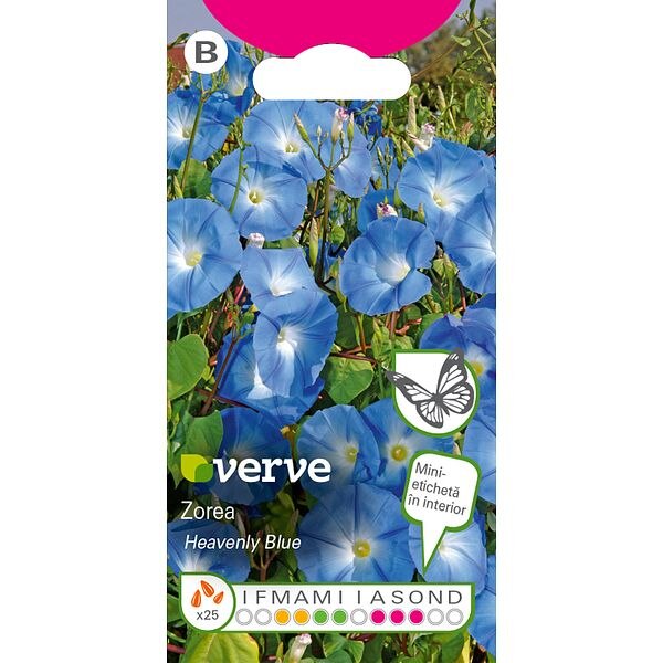 Seminte de zorea Heavenly Blue
