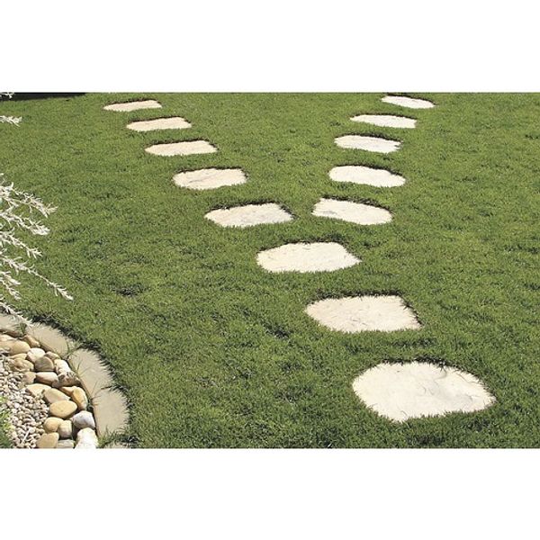 Dala beton gradina Bradstone, 56 x 42 x 3.7 cm, bej